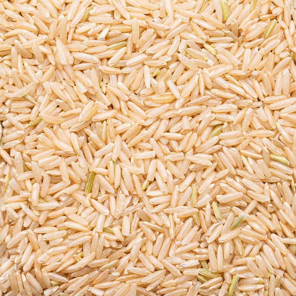 Germany Rice - Thai Global Export